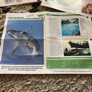 Troll book clubs | Other | 8s Vintage Troll Book Clubs Set | Poshmark